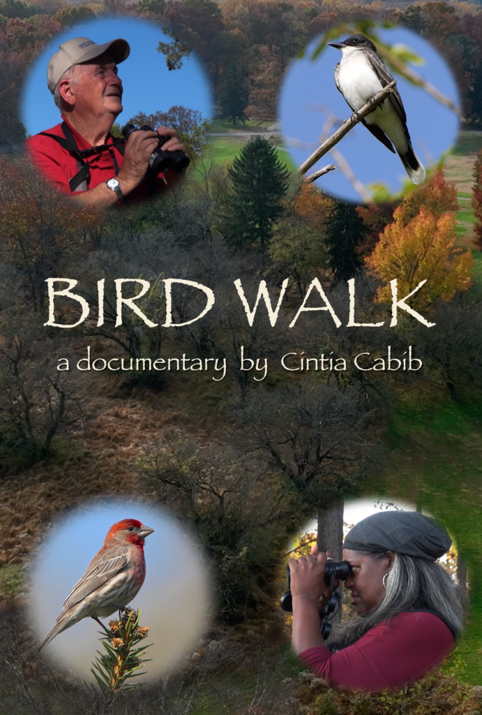 BIRD WALK Screening Nov 1 - Women in Film & Video DC